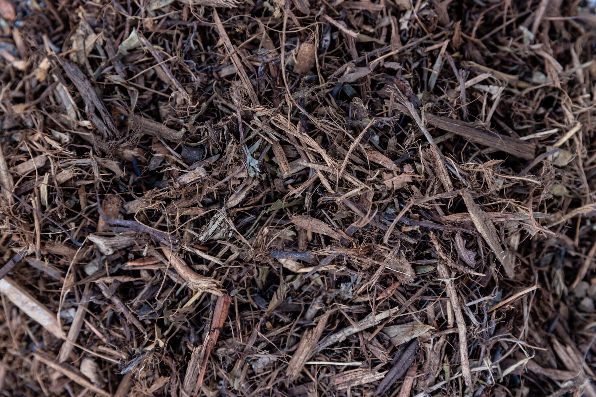 Barks | Troesh Coleman Pacific - Central Coast Landscaping Suppliers